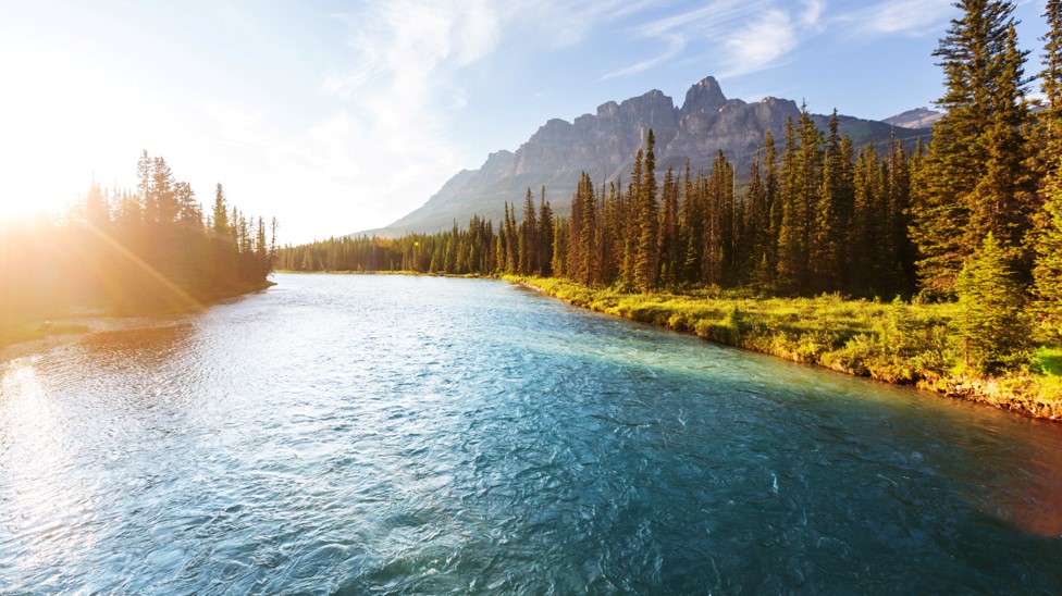 Sacred Science: Aligning Indigenous knowledge and western science for ...