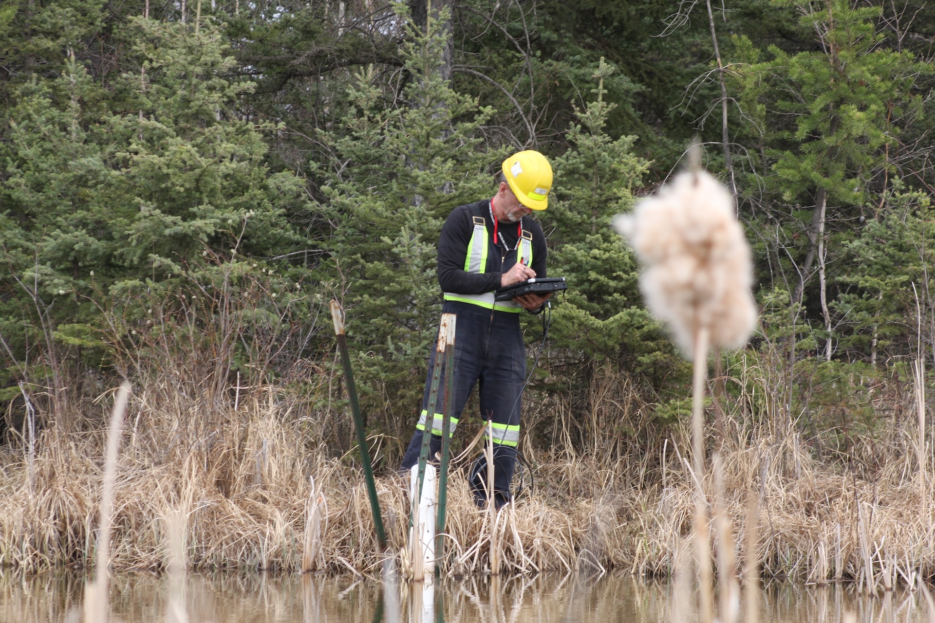 Decision Framework and Support Tools (DST) for Accessing Padded ...